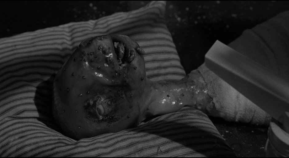 ZHARA MAG в твоем формате: Боди-хоррор: что это за жанр и почему он на волне популярности